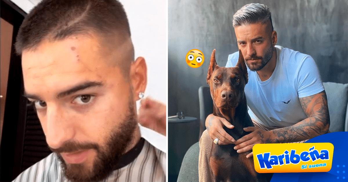 ¡Justo en la cara! Maluma fue mordido en el rostro por su perro ...