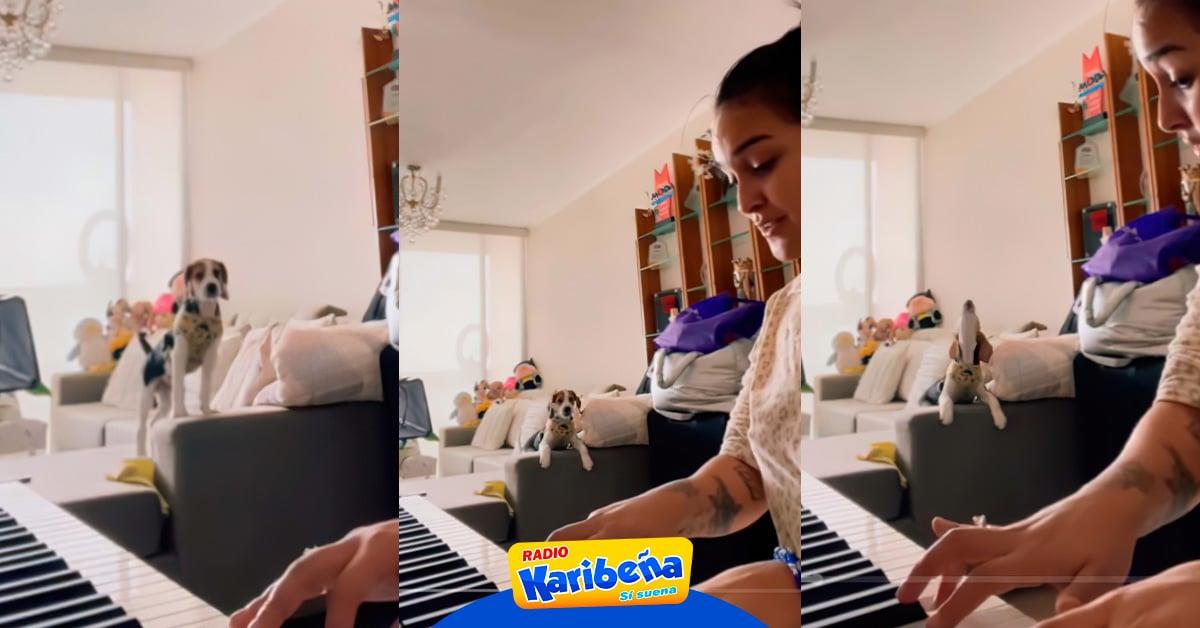¡Qué bello! Daniela Darcourt toca el piano y su mascota Sammy empieza a ...