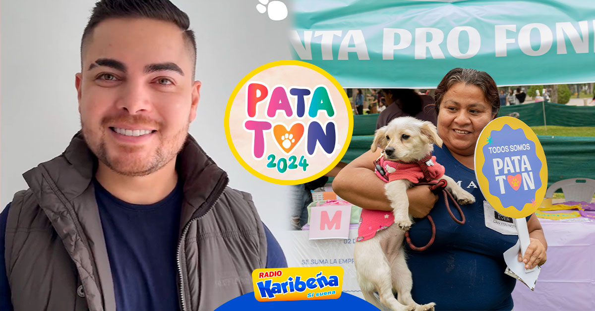 Patatón 2024: Álvaro Rod y más artistas se suman al evento en beneficio ...