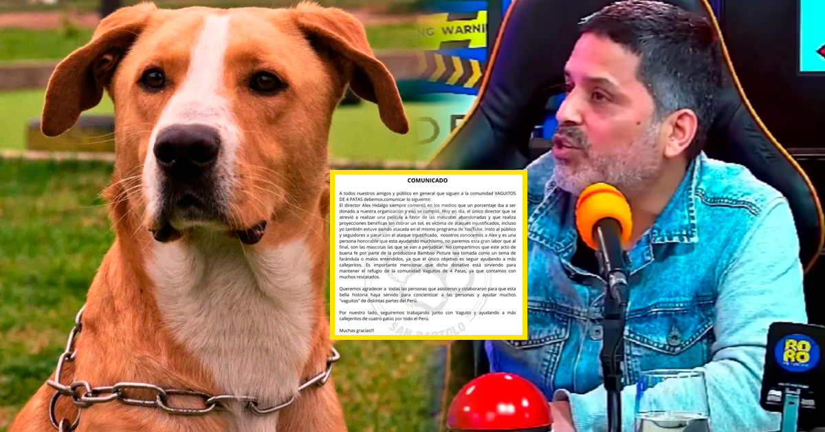 ¿Lo respaldan? Albergue 'Vaguitos de 4 patas' se pronuncia tras acusaciones contra el director ...