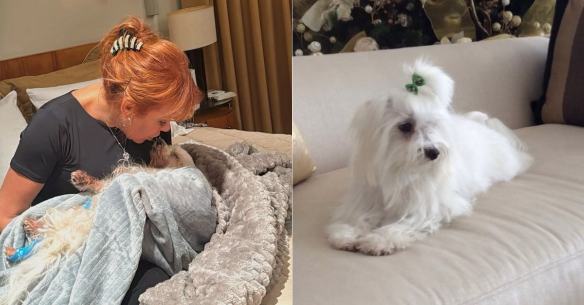 Magaly sufre lamentable pérdida y publica sentido mensaje de despedida ...